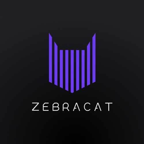 Zebracat - AI Text-To-Video Transformer – ToolPilot
